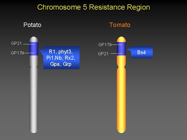 Potato Genome Project 1 Structural Genomics Generation of