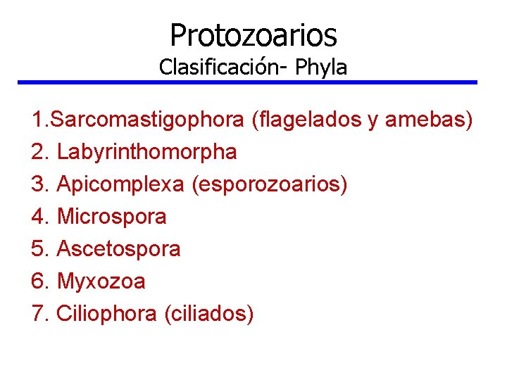 Generalidades de Protozoarios y Amebas Clula Eucariota vs