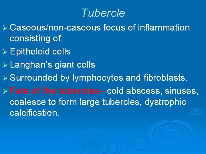MYCOBACTERIUM TUBERCULOSIS Introduction Chronic granulomatous ...