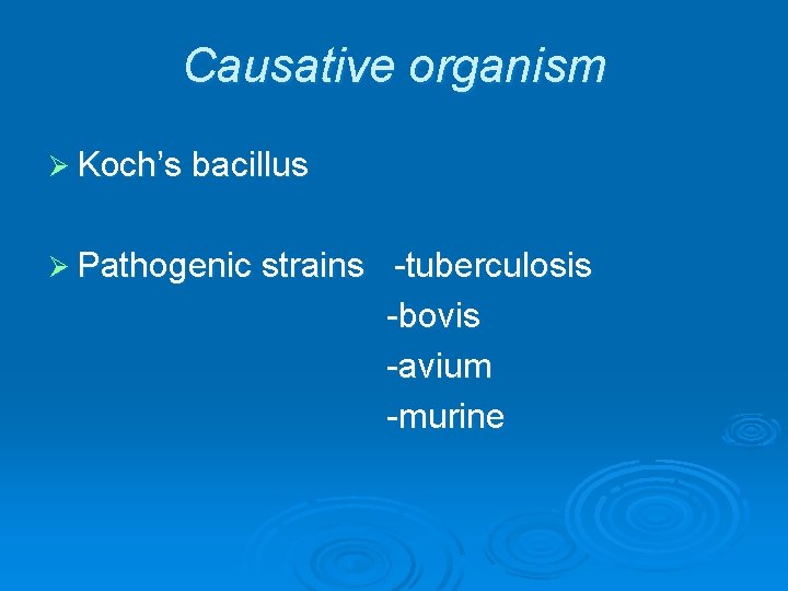 MYCOBACTERIUM TUBERCULOSIS Introduction Chronic granulomatous ...