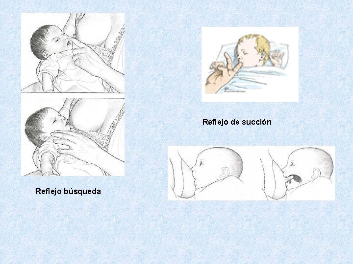 ENFERMERA BSICA EN EL CICLO VITAL Inicio de