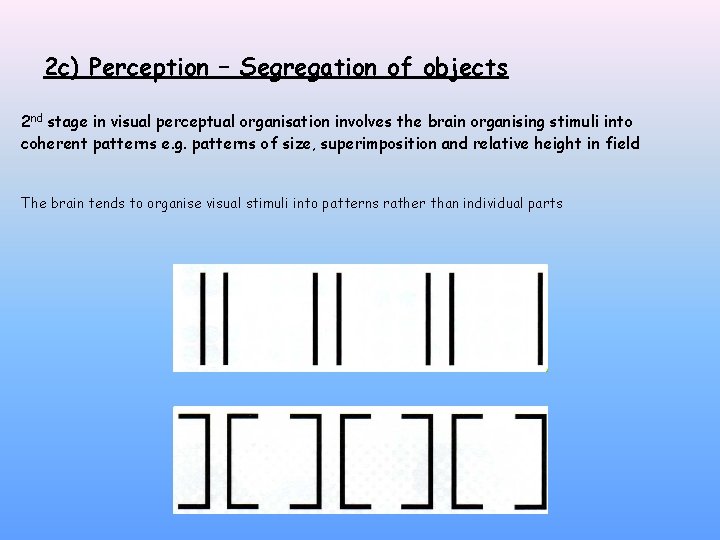 Higher Human Biology Unit 3 Neurobiology Communication KEY