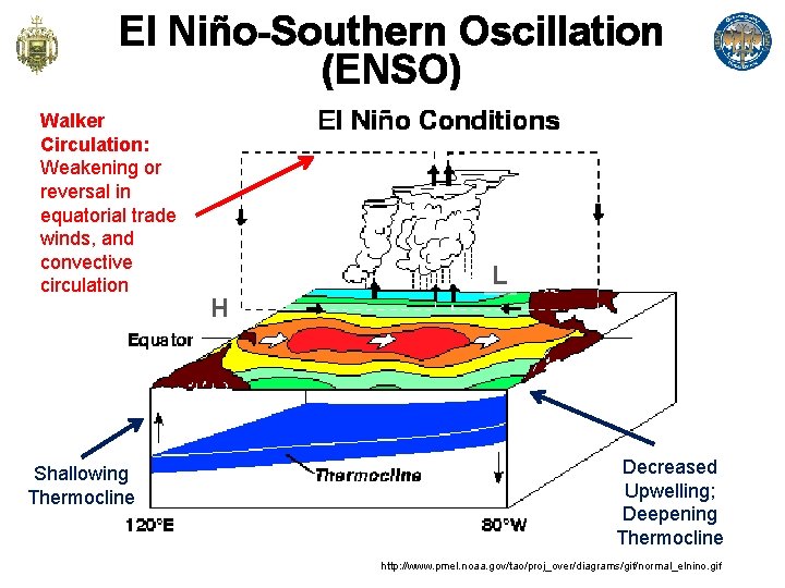 Stewart R H 2005 Introduction to Physical Oceanography