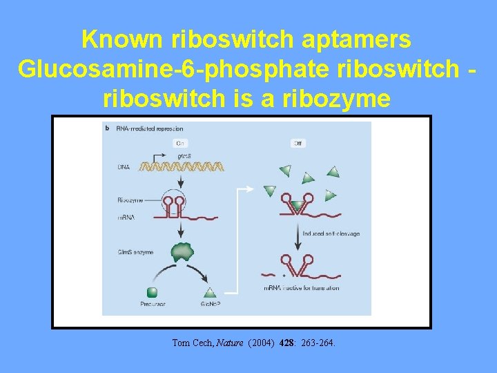 RNAmetabolite interactions riboswitches RNA aptamers RNA aptamers are