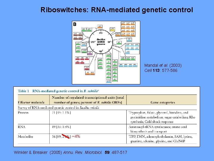 RNAmetabolite interactions riboswitches RNA aptamers RNA aptamers are