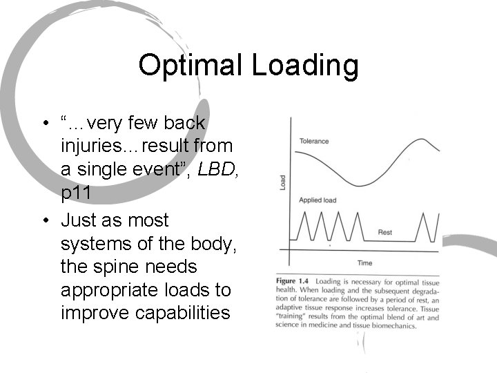 Lower Back Pain Management and Prevention Jon Rowe
