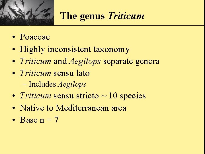 The Origins of Triticum Domestication Ben Grady Dept