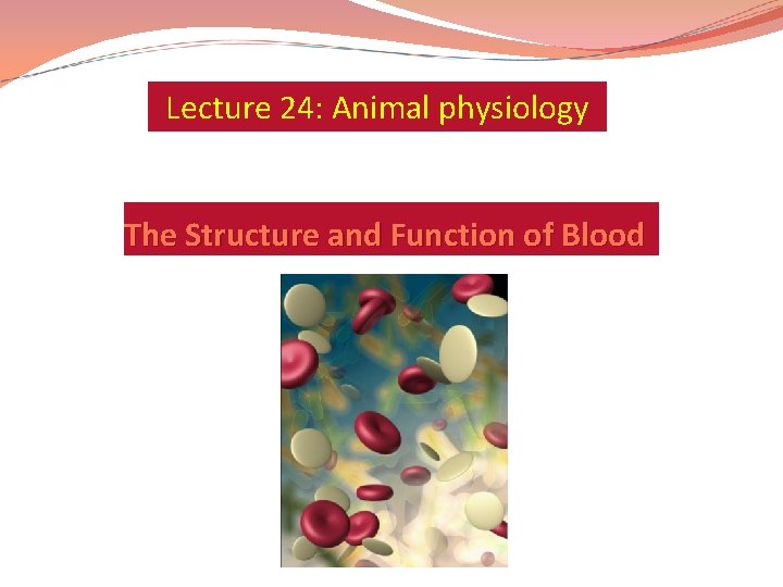 Lecture 24 Animal physiology The Structure and Function