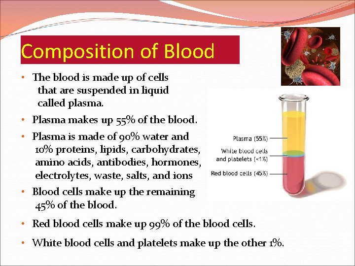 Lecture 24 Animal physiology The Structure and Function