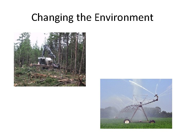 People and the Environment Chapter 1 Lesson 5