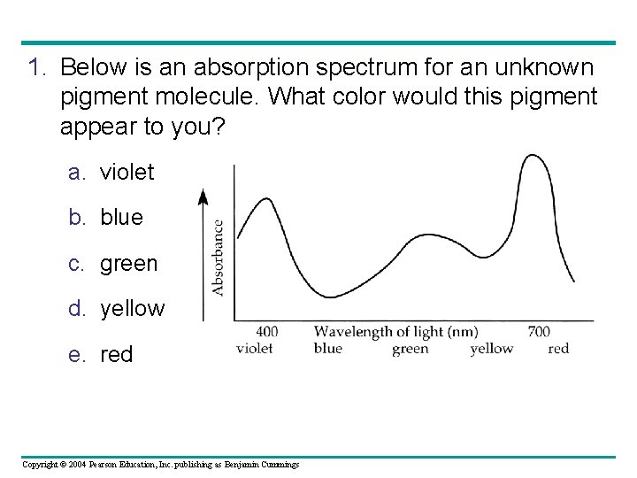 Chapter 10 Photosynthesis Power Point Lectures for Biology