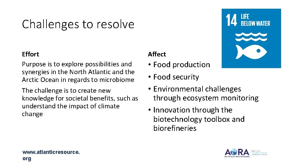 Marine Microbiome Exploratory Workshops Marine Microbiome The marine