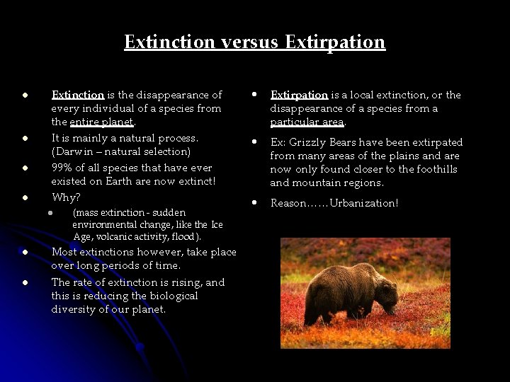 Topic 4 Presentation Human Activity Affects Biological Diversity