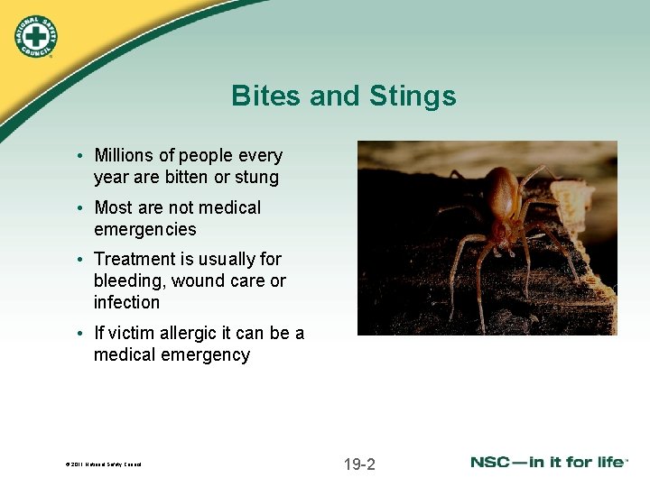 LESSON 19 BITES AND STINGS 2011 National Safety