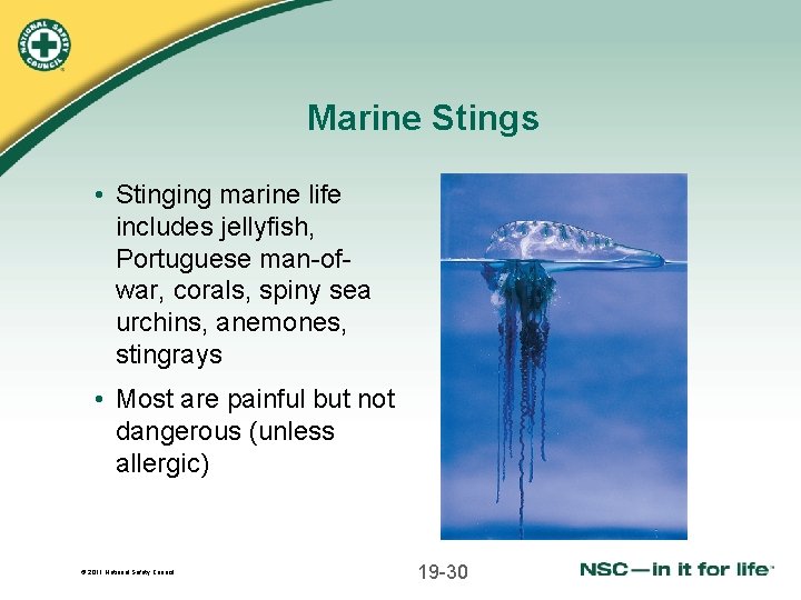 LESSON 19 BITES AND STINGS 2011 National Safety