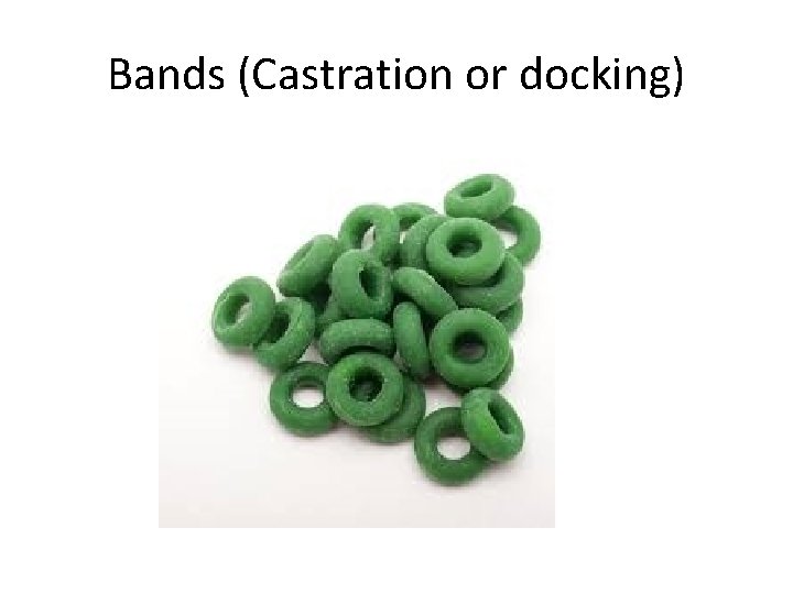 Vet Science ID TOOLS Autoclave Bands Castration or