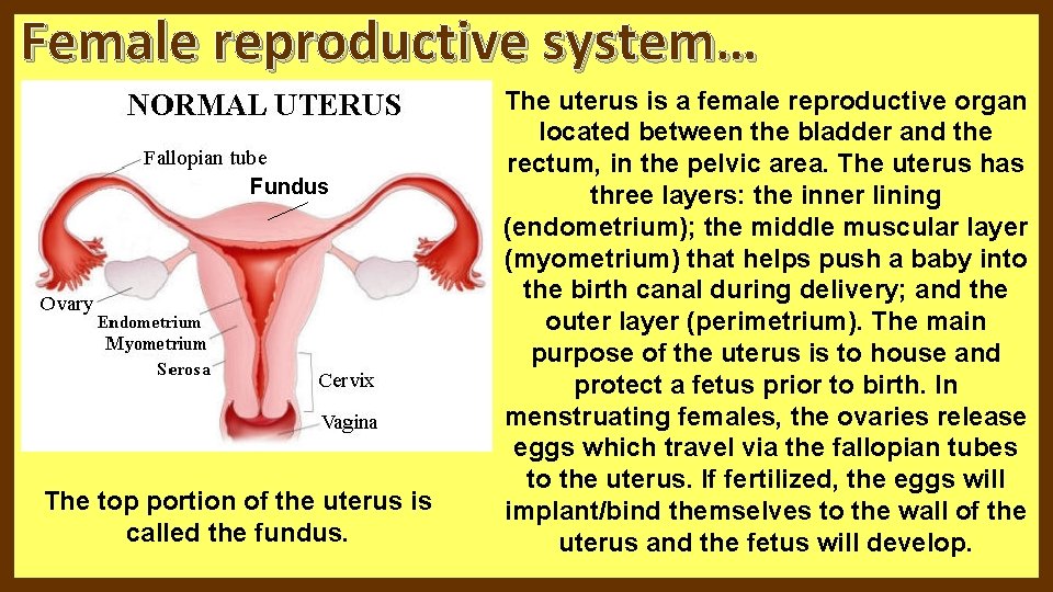 Human Sexuality Human sexuality In all species of