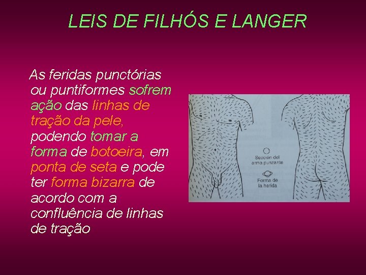 TRAUMATOLOGIA FORENSE OFENSAS INTEGRIDADE FSICA OU SADE PRODUZIDAS