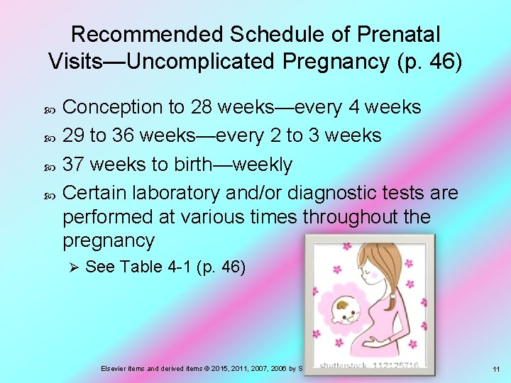Chapter 4 Prenatal Care and Adaptations to Pregnancy