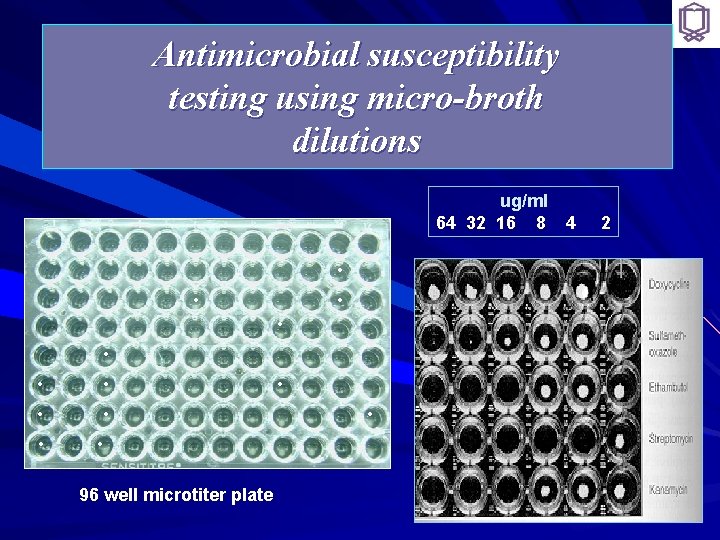 In the name of God Department Of Microbiology
