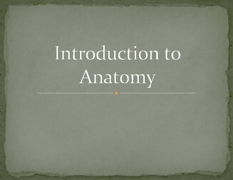 Introduction to Anatomy The Human BodyAn Orientation Anatomy