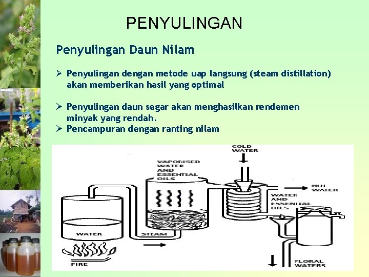 PENGETAHUAN BAHAN AGROINDUSTRI TIN 250 MINYAK ATSIRI Oleh
