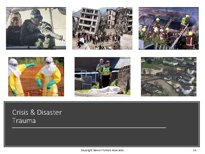 Becoming an Organisational Trauma Counselling Specialist Dr Noreen