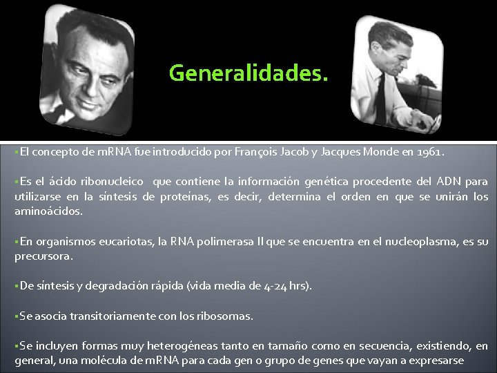 BIOLOGA MOLECULAR TEMA 4 7 m RNAs EUCARITICOS