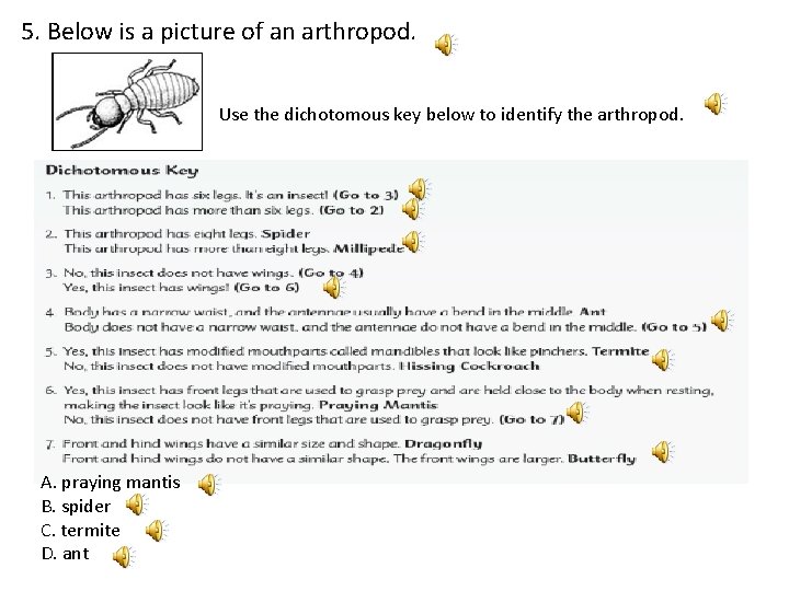 6 th Grade Benchmark Animals 2012 2013 1