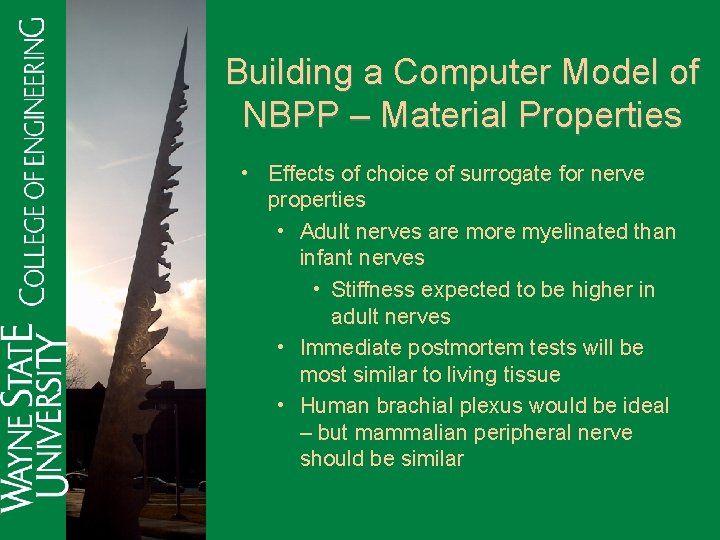 The Biomechanics of Neonatal Brachial Plexus Palsy How