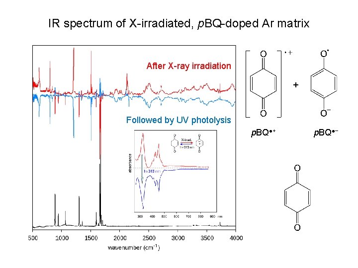 Manifestation of Nonadiabatic Effects in the IR Spectrum