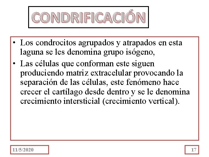 15 TEJIDO CARTILAGINOSO Dr Jos Roberto Martnez Abarca