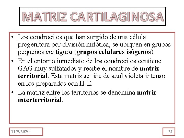 15 TEJIDO CARTILAGINOSO Dr Jos Roberto Martnez Abarca