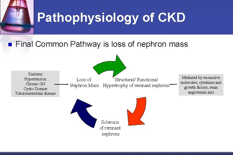 Chronic Kidney Disease Sumit Kumar MD MPH Presbyterian