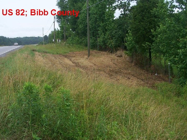 ALDOT COGONGRASS TREATMENT Regional Cogongrass Conference Howard Peavey