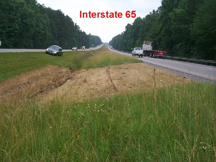 ALDOT COGONGRASS TREATMENT Regional Cogongrass Conference Howard Peavey