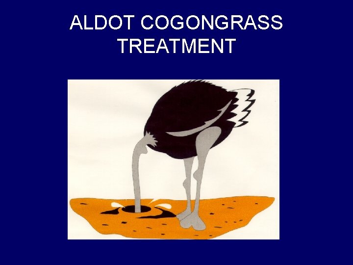 ALDOT COGONGRASS TREATMENT Regional Cogongrass Conference Howard Peavey