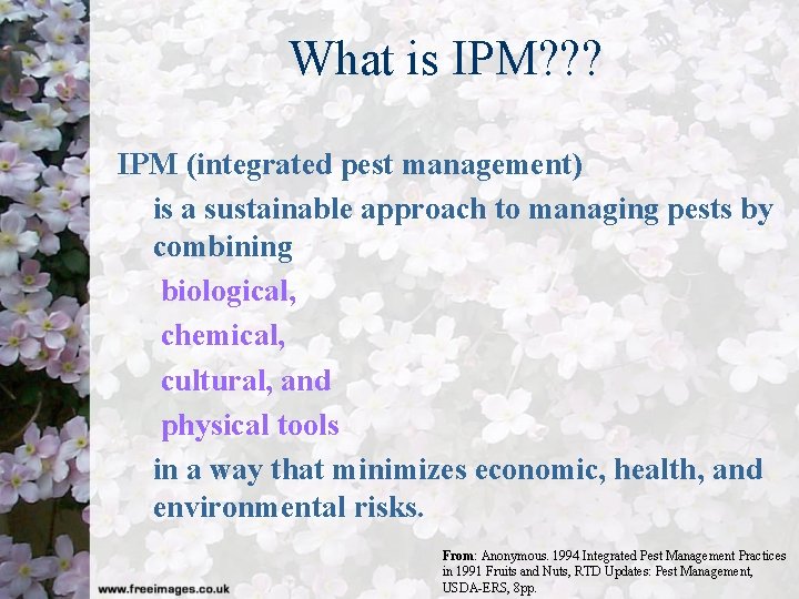 What is IPM IPM integrated pest management is