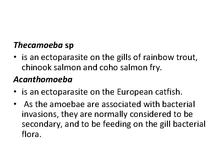 Protozoan parasitic diseases Diagnosis method wet mount of