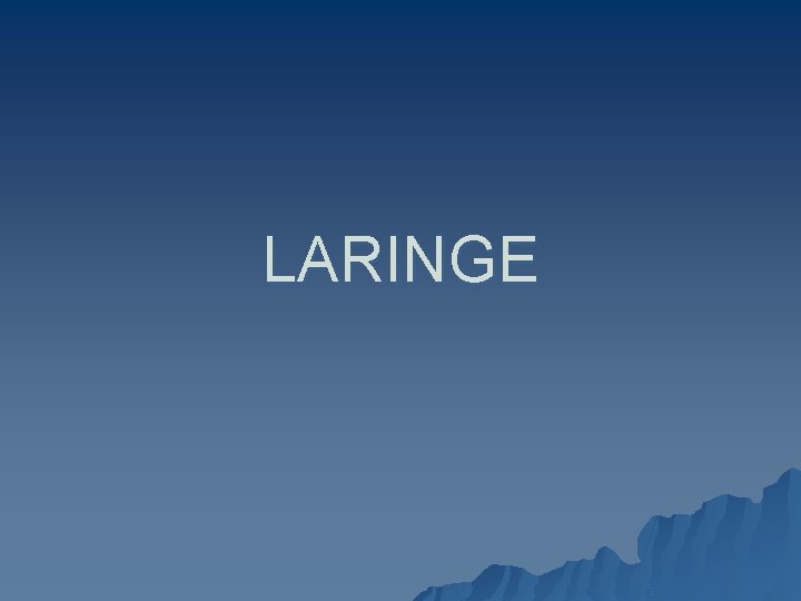 LARINGE ANATOMIA LARINGEA Es un tubo hueco similar
