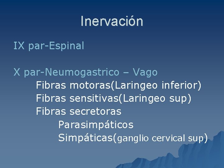 LARINGE ANATOMIA LARINGEA Es un tubo hueco similar