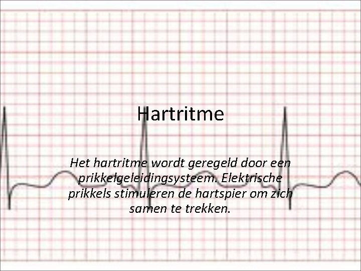 Hartritme Het hartritme wordt geregeld door een prikkelgeleidingsysteem