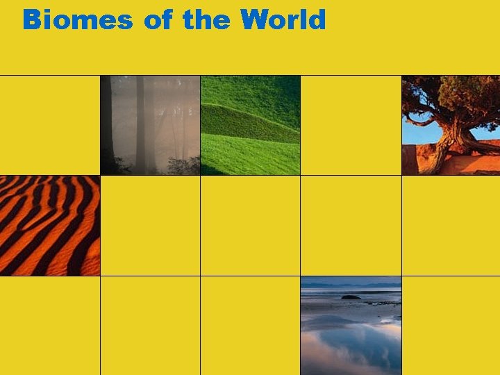 Biomes of the World What is a biome