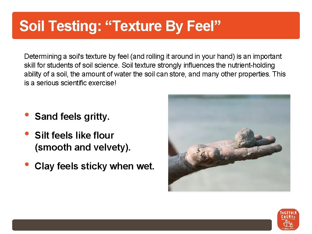 Whats In Your Soil Table of Contents SOIL