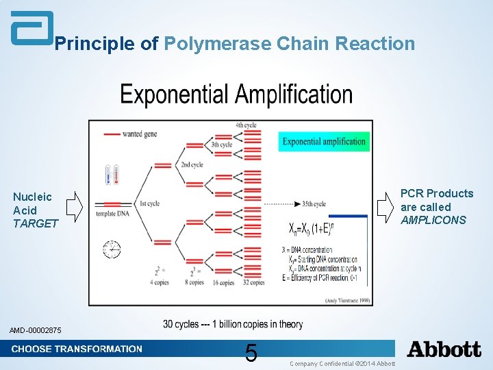 Topics PCR Overview PCR Applications PCR Formats AMD00002875