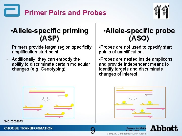 Topics PCR Overview PCR Applications PCR Formats AMD00002875