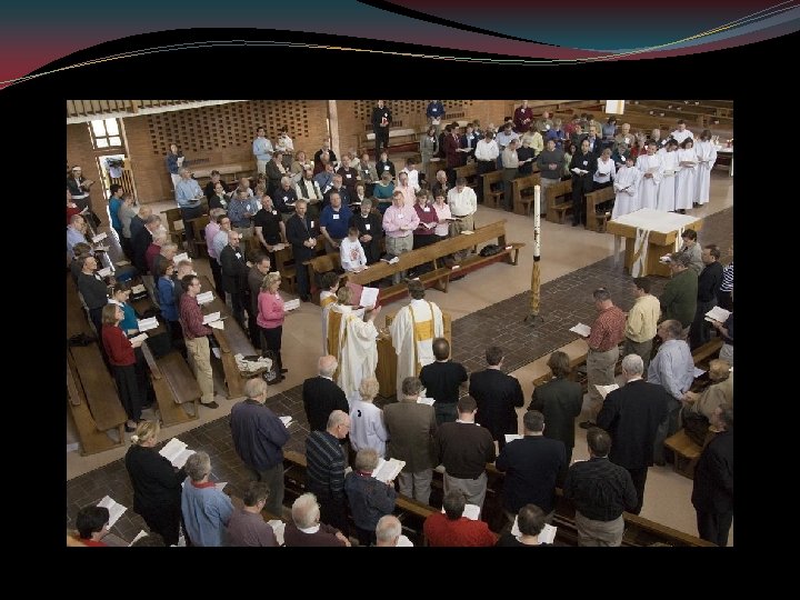 The Protestant Reformation Church Organization Pope Cardinals Archbishops