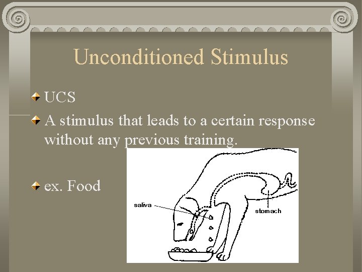LEARNING Behaviorism chapter 7 A change in behavior