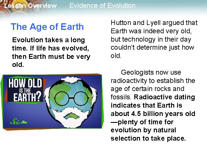 Lesson Overview Evidence of Evolution Lesson Overview 16