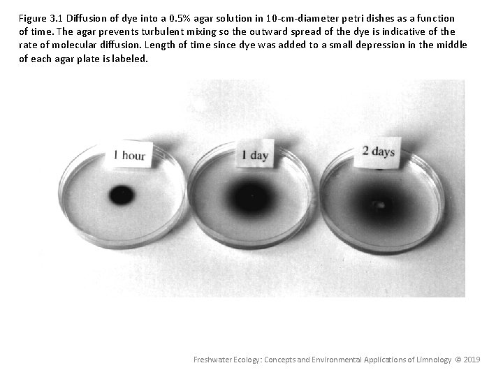 Figure 3 1 Diffusion of dye into a